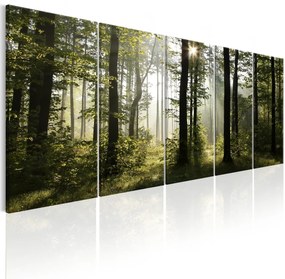 Pětidílné obrazy na stěnu - ráno v lese