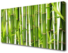Obraz na plátně Bambusové Výhonky Listy Bambus 125x50 cm