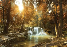 Postershop Fototapeta: Vodopády v lese (1) - 184x254 cm