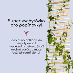 Vingo Závěsná opora pro popínavé rostliny - treláž/žebřík, 100 x 200 cm