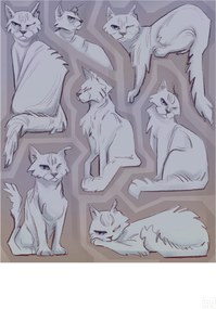 Lucie Talaber | One Eye Cat Rám: Černý, Velikost: 30 x 20 cm