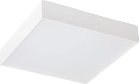 Sapho Sapho, RISA stropní LED svítilna 10W, 230V, 28x28cm, bílá, LS030B