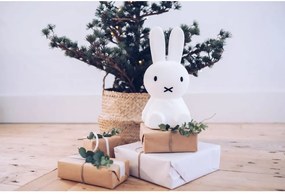 lovel.cz Dětská lampa Zajíček Miffy First Lamp