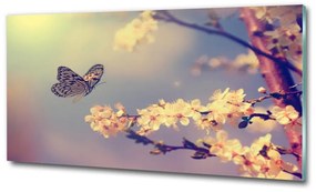 Wallmuralia Foto-obraz fotografie na skle Květ viště a motýl 100x50