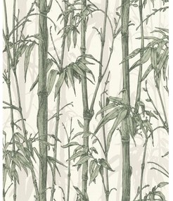Vliesová tapeta 484847 zelený bambus / Tapety na zeď Florentine III (0,53 x 10,05 m) Rasch