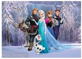 Fototapeta vliesová jednodílná Frozen II.