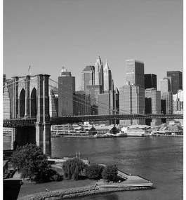 Vliesová fototapeta Manhattan v šedé barvě 225 x 250 cm + lepidlo zdarma / MS-3-0010 vliesové fototapety na zeď DIMEX