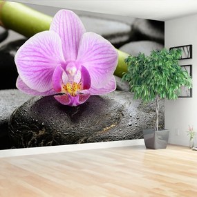 Fototapeta Orchidejové kameny 104x70