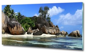 Wallmuralia Fotoobraz na skle Seychely panorama 100x50