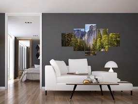 Obraz - Pod Yosemite skálou (125x70 cm)