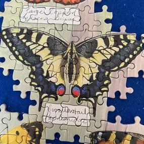 GIBSONS Puzzle Nádherní motýlci / 1000 dílků / 68 × 49 cm