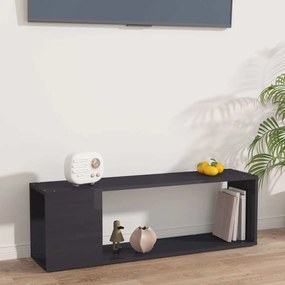 vidaXL TV skříňka 100 x 24 x 32 cm kompozitní dřevo [809167] Barva: šedá sonoma