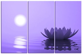 Obraz na plátně - Zen lotus 1167VB (135x90 cm)