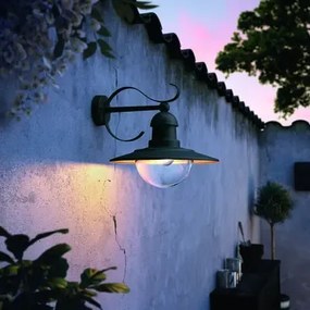 Philips Topiary 60W černá / Venkovní nástěnné svítidlo / bez zdroje /