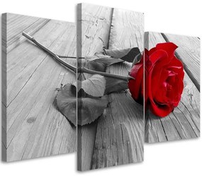 Gario Obraz na plátně Červená růže - 3 dílný Rozměry: 60 x 40 cm