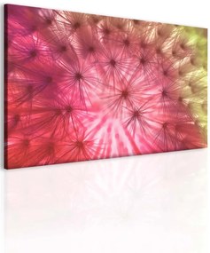 Malvis ® Abstraktní obraz chmýří pampelišek Velikost: 120x80 cm