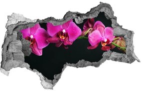 Wallmuralia Samolepící díra nálepka Orchidej 95x73 cm