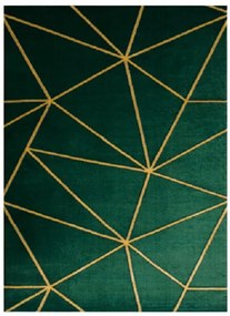 Dywany Łuszczów, Kusový koberec Emerald 1013 green and gold, 140x190, zelená, chodba / předsíň