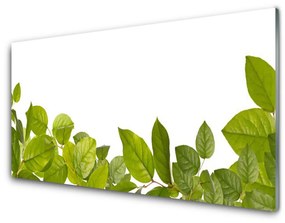 akrylový obraz Listy Příroda Rostlina 100x50 cm