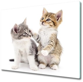 Skleněná krájecí deska Dvě malé kočky 60x52 cm