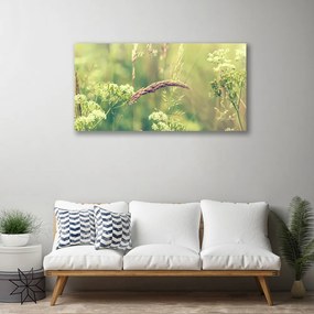 Obraz na plátně Divoké Rostliny Příroda 100x50 cm