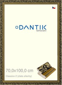 DANTIK rámeček 70x100 | Claico 2 (zlato ořechy) (Plexi Čiré)