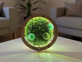 Li-Go "Mechové kopečky" dřevěná lampa/obraz 31 cm/s baterií a pohybovým čidlem provedení povrchu: dub