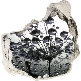 Wallmuralia Samolepící díra nálepka Semena pampelišky 75x75 cm