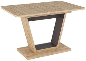 Casarredo - Komfort nábytek Jídelní stůl rozkládací NIGEL 120x80 dub wotan/hnědá