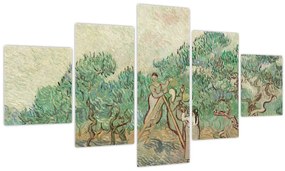 Obraz - Vincent van Gogh, The Olive Orchard, reprodukce (125x70 cm)