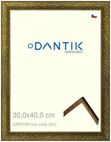 DANTIK rámeček 30x40 | SARTORI listy zlatá (Plexi Čiré)