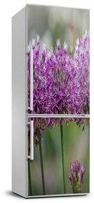 Wallmuralia Nálepka fototapeta Květy česneku 60x180 cm