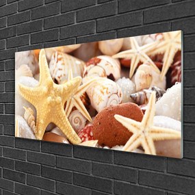 Obraz na skle Hvězdice Mušle Pláž 125x50 cm