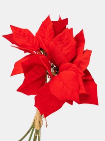 Sinsay - DECORATIVE PLANT - vícebarevná