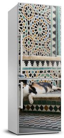 Wallmuralia Samolepící nálepka na ledničku Kočka Maroko 60x180 cm