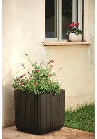 Keter Plastový květináč Cube planter M hnědá, 30 x 30 x 30 cm