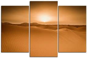 Obraz na plátně - Pouště Sahara 1131C (105x70 cm)