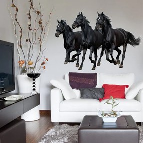 INSPIO Samolepka na zeď - Tři černé koně