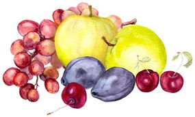 Obraz Letní Ovoce Malované Akvarelem Nedostatek Nedostatek Plátno Canvas 120x80