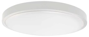 LED dome - 7618