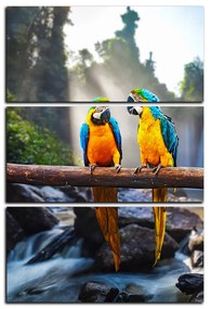 Obraz na plátně - Modro žluté Macaw - obdélník 7232B (90x60 cm  )