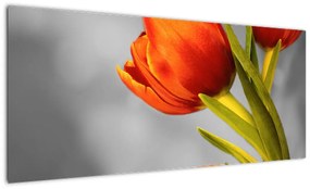Obraz tulipánů (100x40cm)