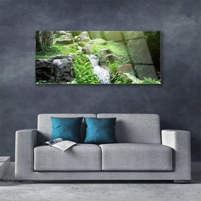 akrylový obraz Potom Trávy Příroda 125x50 cm