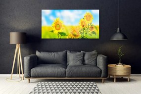 Plexisklo-obraz Slunečnice Květiny Příroda 120x60 cm
