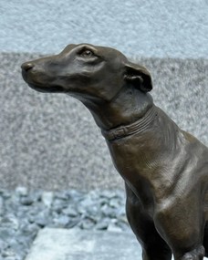 Bronzová socha - Greyhound soška loveckého psa