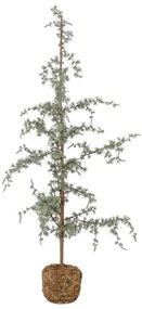 Umělý vánoční stromeček výška 120 cm Vita – Bloomingville