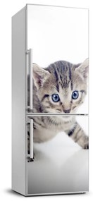 Wallmuralia Nálepka fototapeta lednička Malá kočka 60x180 cm