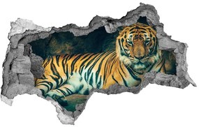 Wallmuralia Díra 3D fototapeta nálepka Tygr v jeskyni 95x73 cm