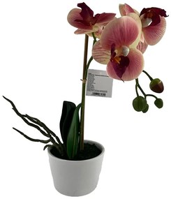 Orchidej - mix 3 barev 30 cm