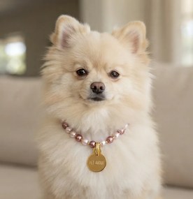 Pet Amour PA náhrdelník pro psy z perel růžový Velikost: S